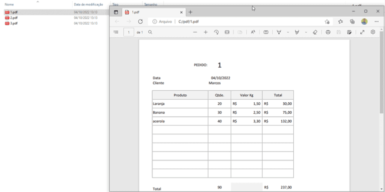 Imprimir e Gerar PDF Mala Direta VBA Excel - Guia do Excel